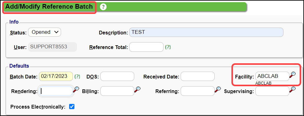 Print a Patient Ledger
