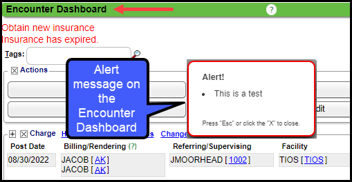 Encounter Notes Panel